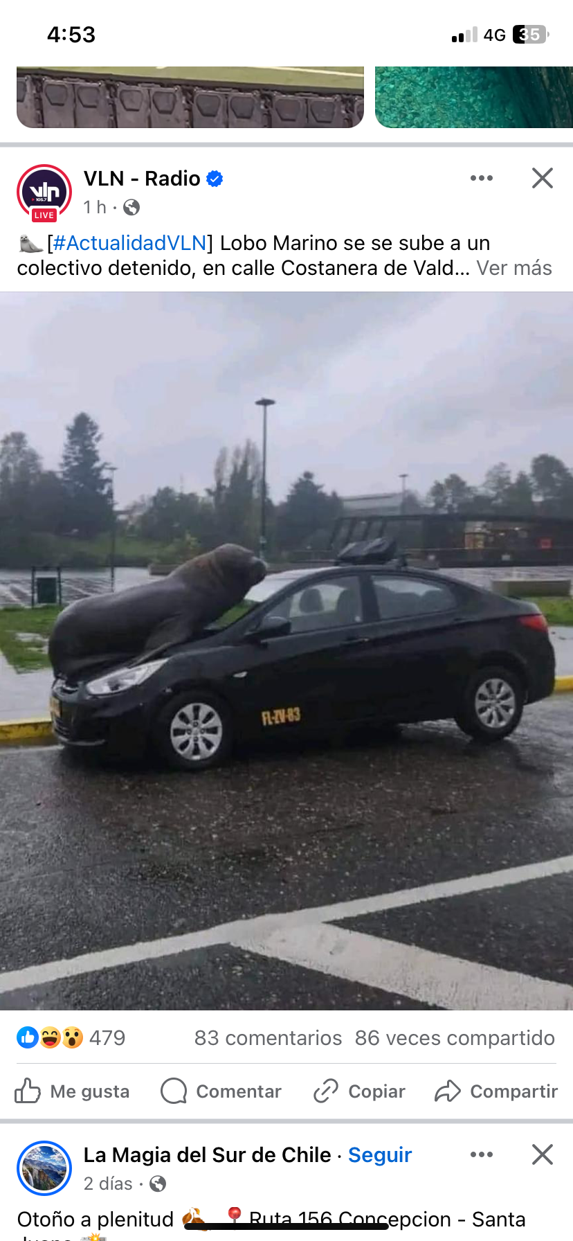 ¡INSÓLITO! DESCUBREN A LOBO MARINO ESPERANDO AL CHOFER PARA QUE LO ...