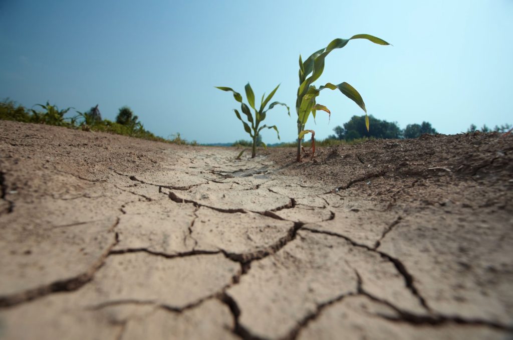 Déficit de lluvias marca un invierno frío y proyecta primavera seca y ...